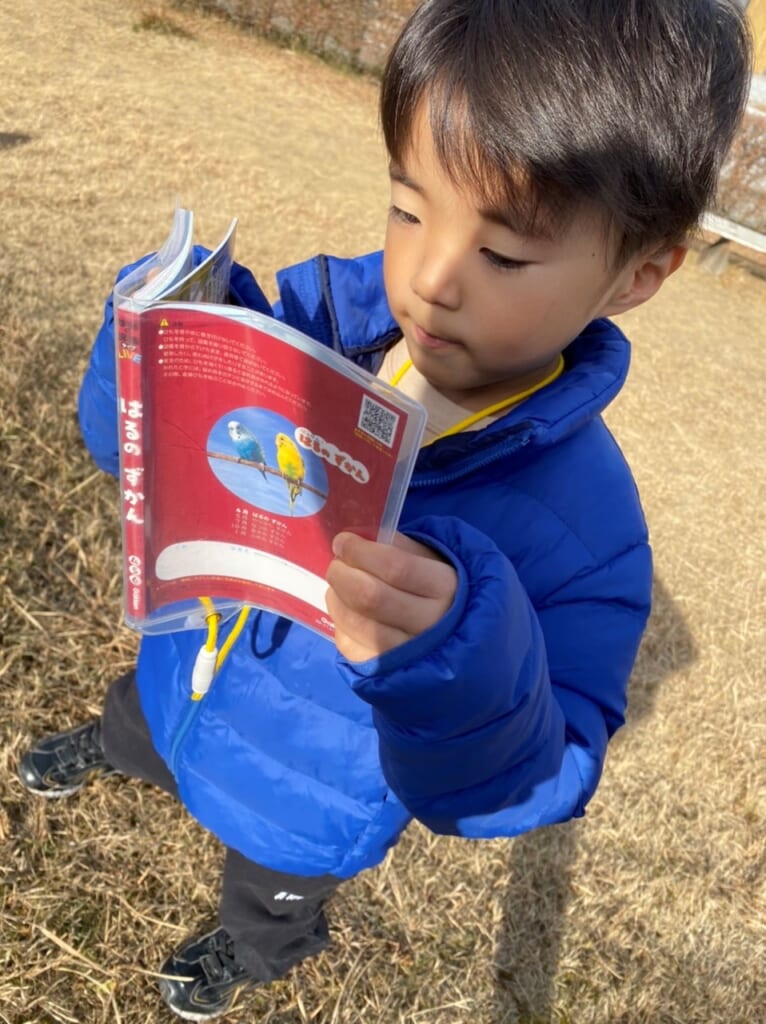 【非認知能力を伸ばそう】たいけんポケットで遊んでみた：Part1 | Gakken家庭学習応援プロジェクト マナビスタ